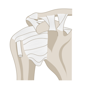 Best Shoulder Specialist In San Jose | Dr. Pamela Mehta, MD