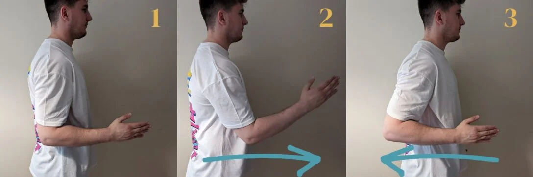 shoulder strengthening exercises -7 Best Shoulder Dislocation Exercises ...